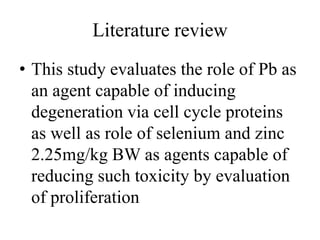 Role of se+zn in regeneration (ki67) | PPTX