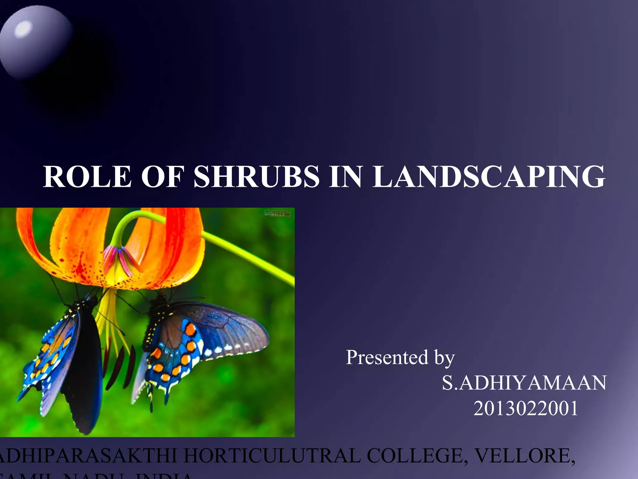 Role of shrubs in landscaping | PPT