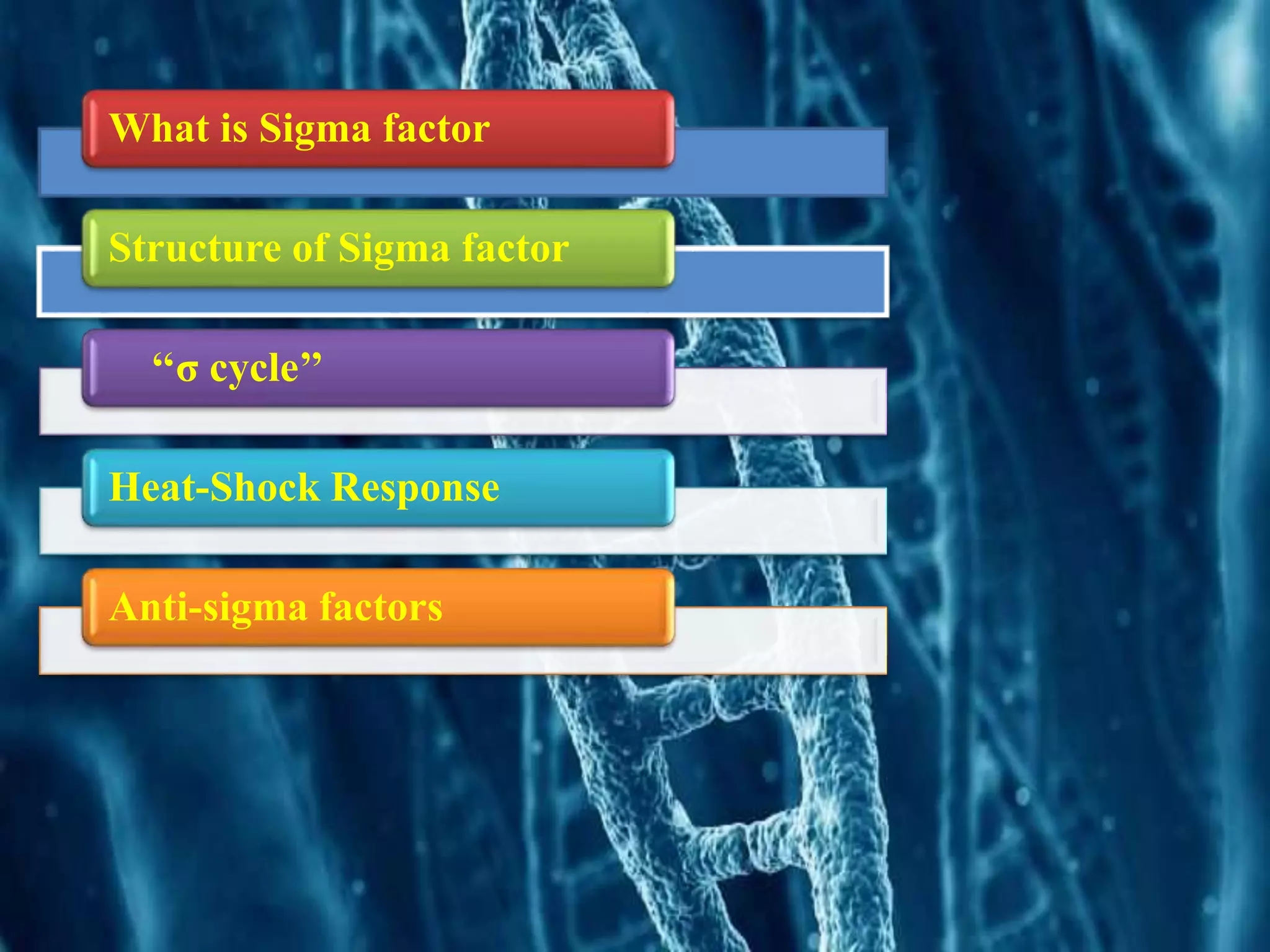 role of sigma factor.pptx