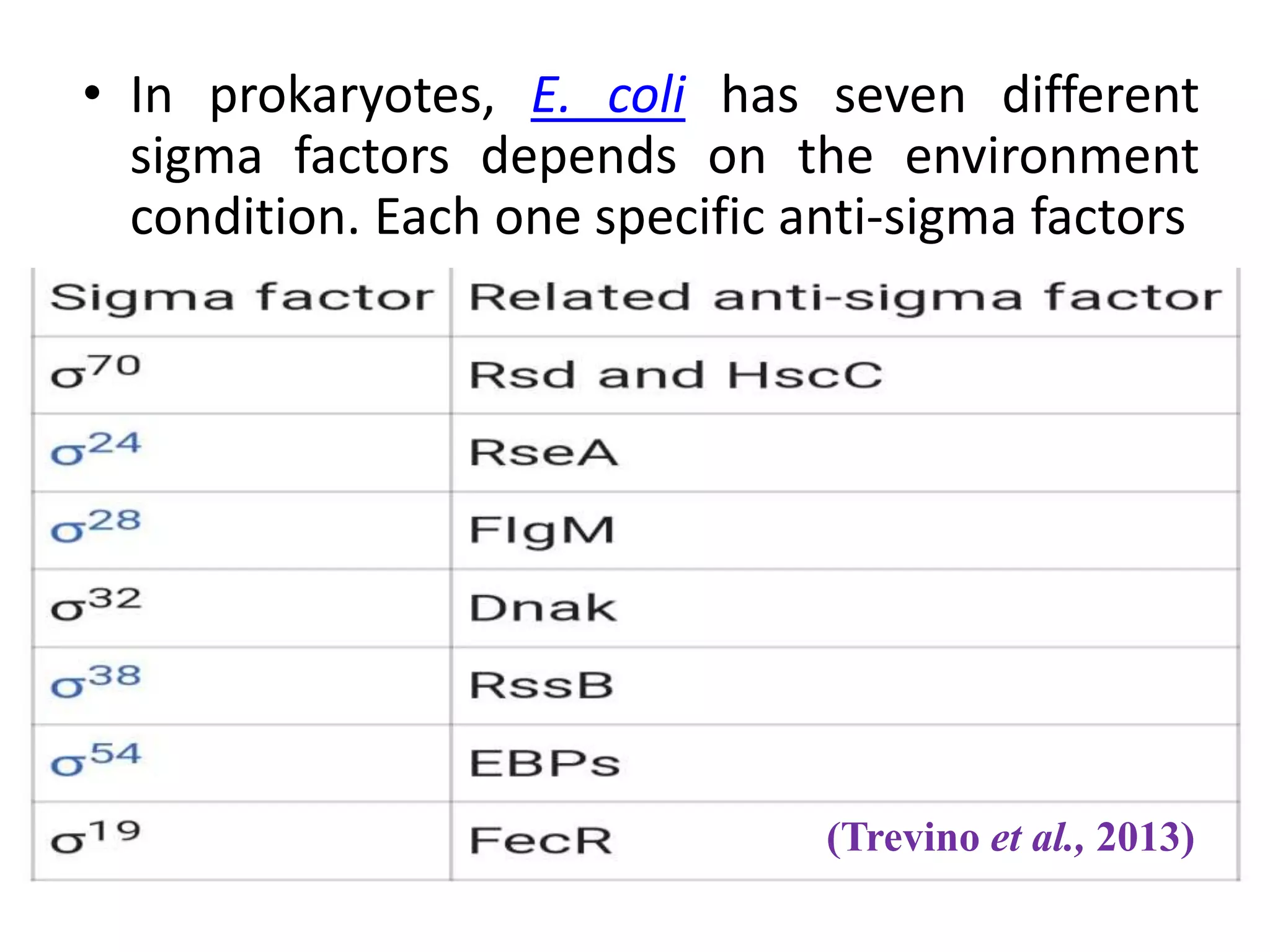 role of sigma factor.pptx