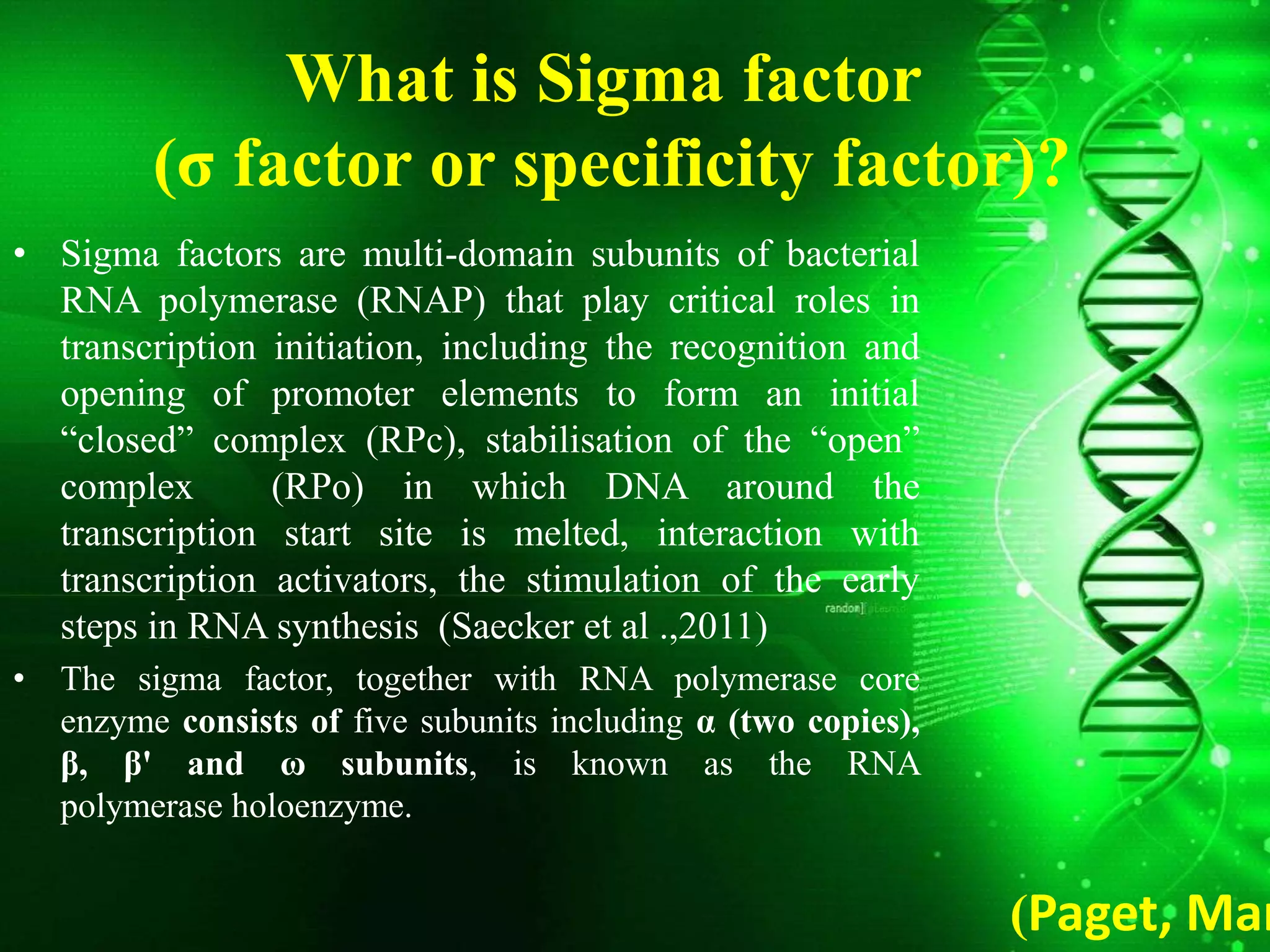 Role Of Sigma Factor Pptx