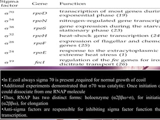 role of sigma factor.pptx