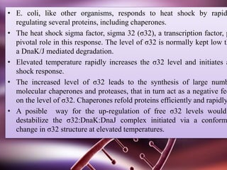 role of sigma factor.pptx
