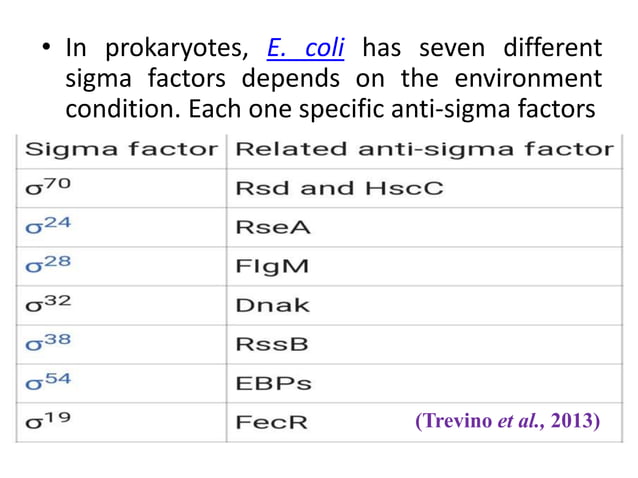 role of sigma factor.pptx
