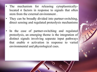 role of sigma factor.pptx