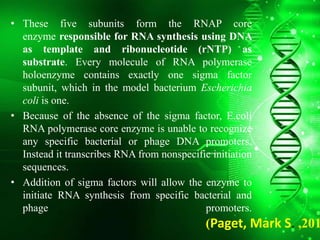 role of sigma factor.pptx