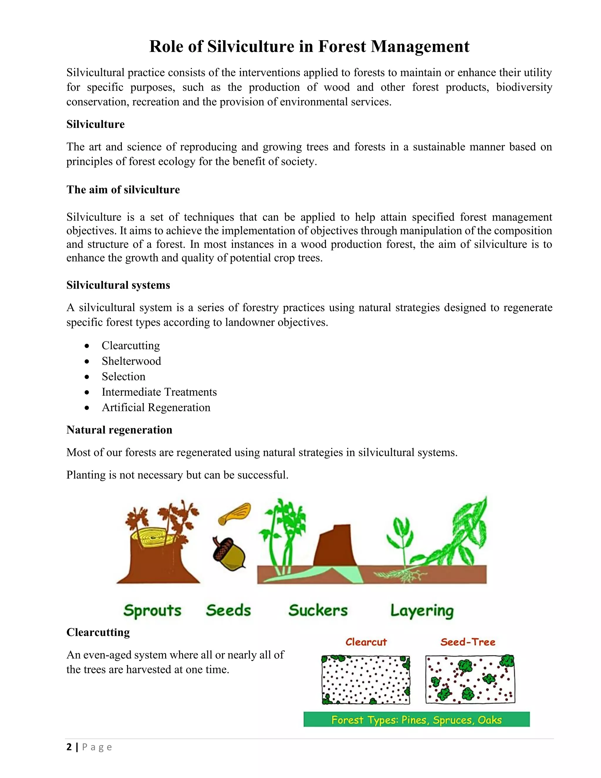 Role of silviculture in forest management | PDF