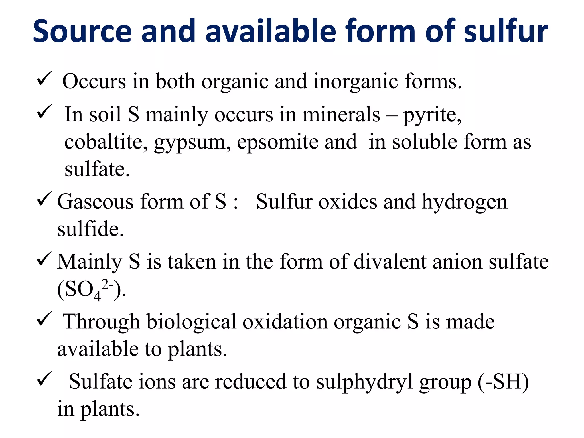 Role of Sulfur in plants | PPTX
