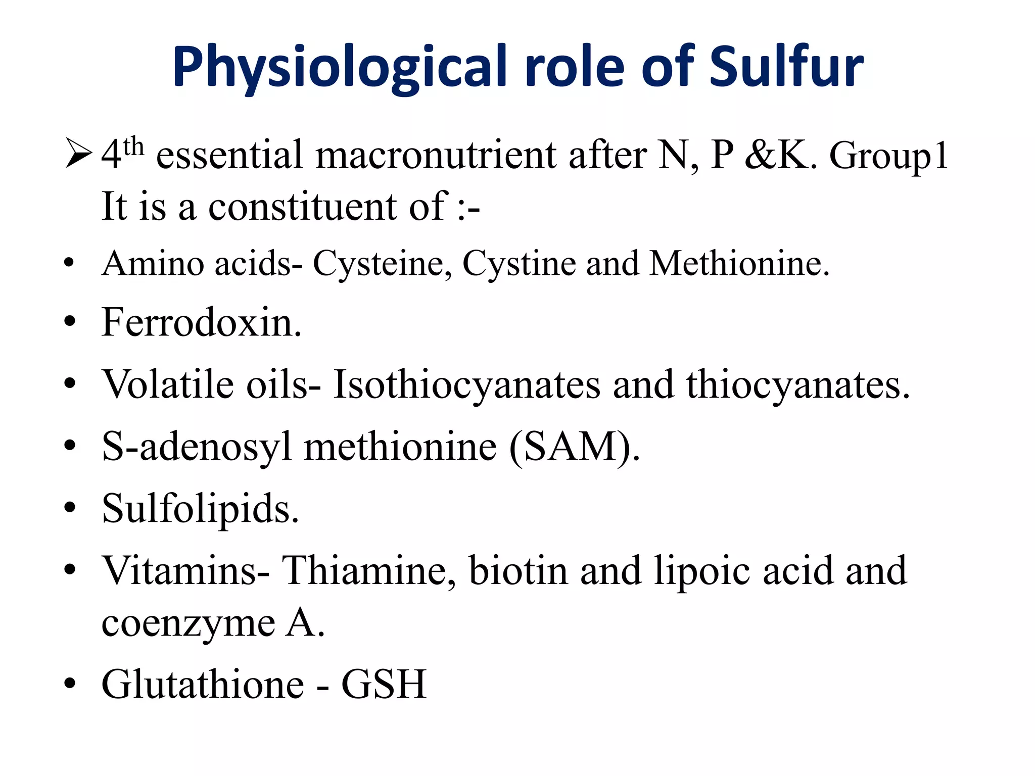 Role of Sulfur in plants | PPTX