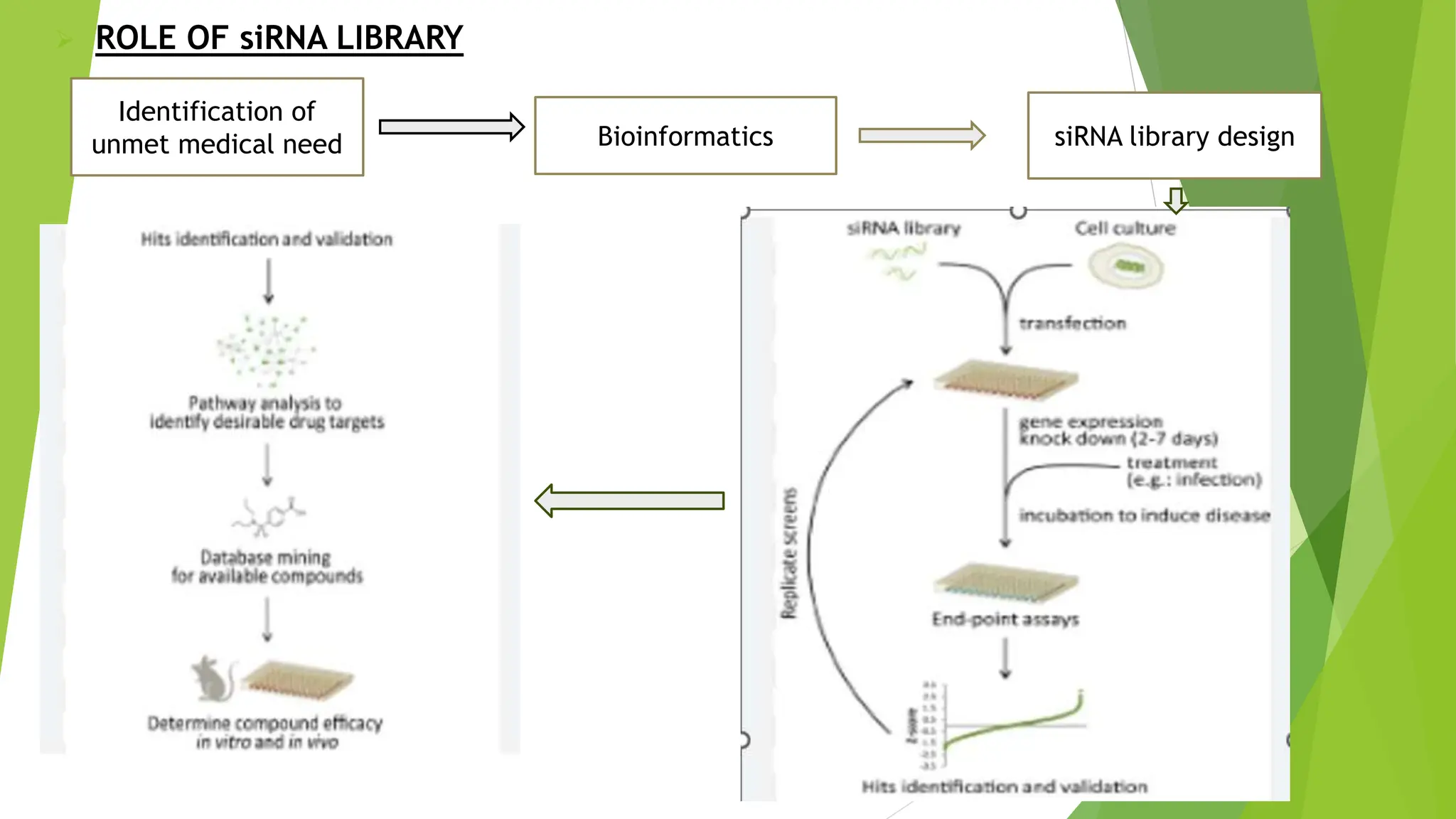 ROLE OF siRNA IN MODERN DRUG DISCOVERY PROCESS (3).pptx