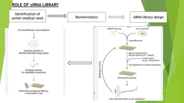 ROLE OF siRNA IN MODERN DRUG DISCOVERY PROCESS (3).pptx