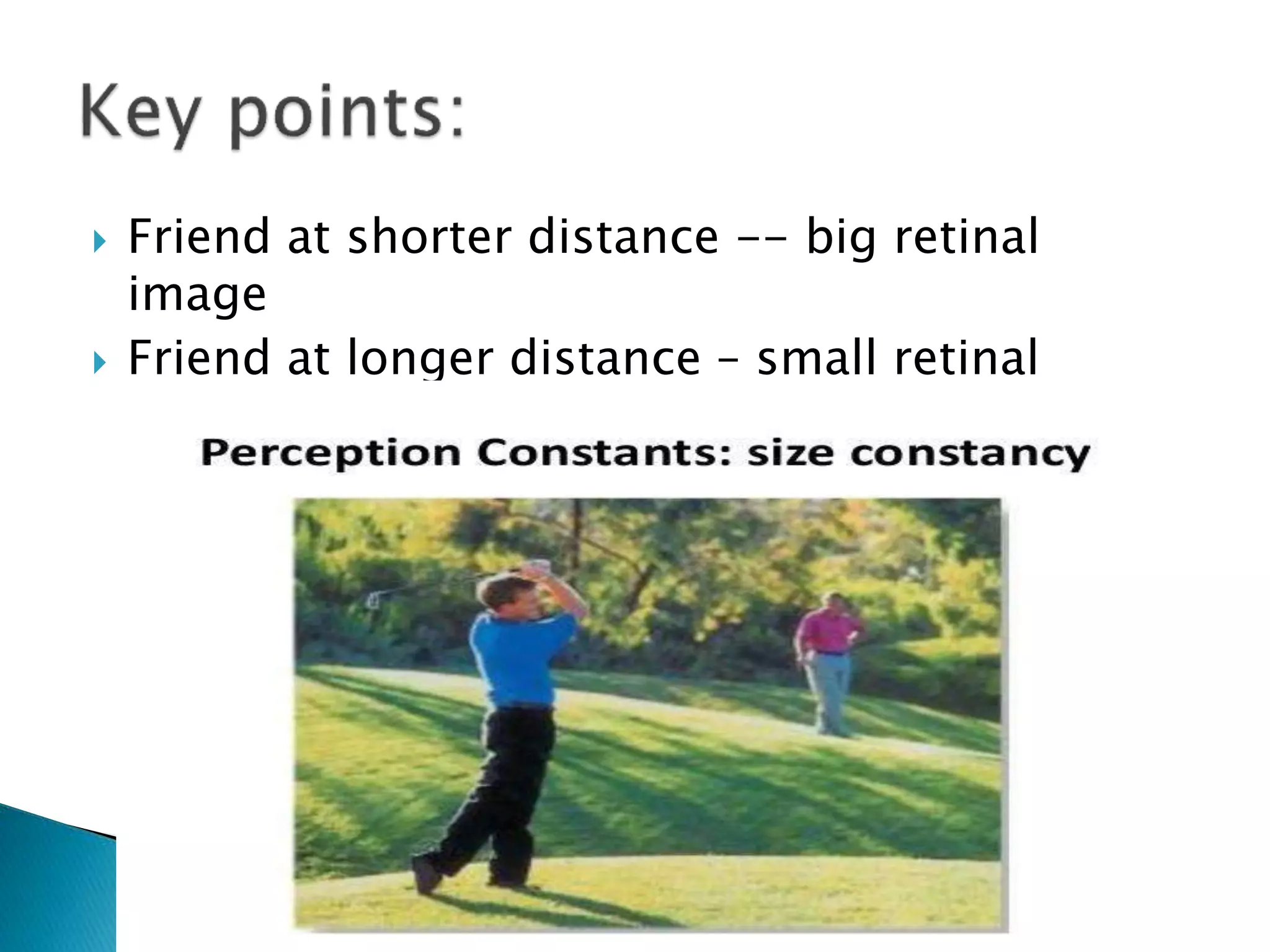 Role of size constancy in perception | PPTX