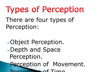 Role of size constancy in perception | PPTX