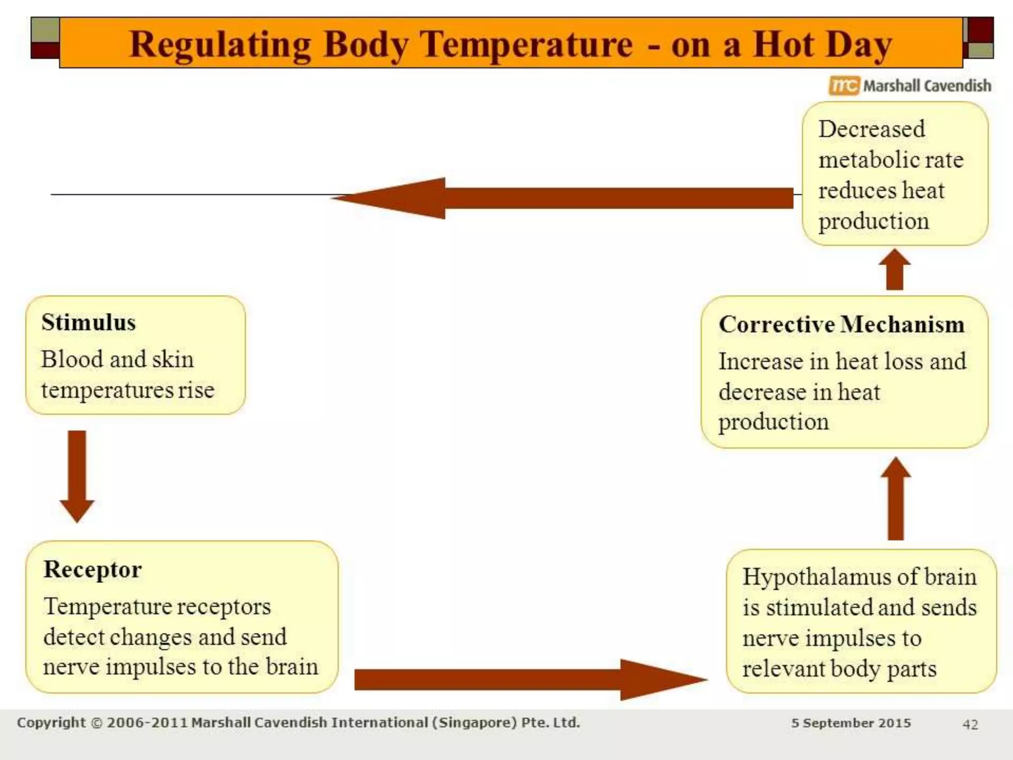 Role of skin in regulation of body temperature | PPTX