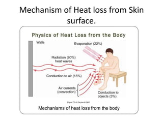 Role of skin in regulation of body temperature | PPTX