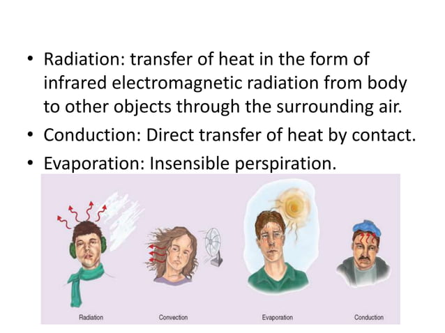 Role of skin in regulation of body temperature | PPTX