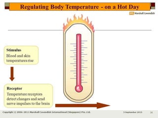 Role of skin in regulation of body temperature | PPTX