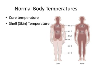 Role of skin in regulation of body temperature | PPTX