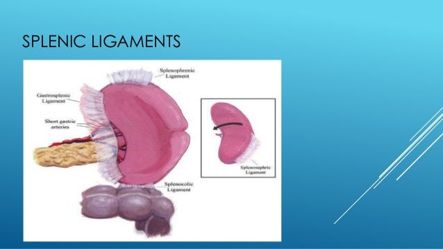 Role of spleenectomy in itp