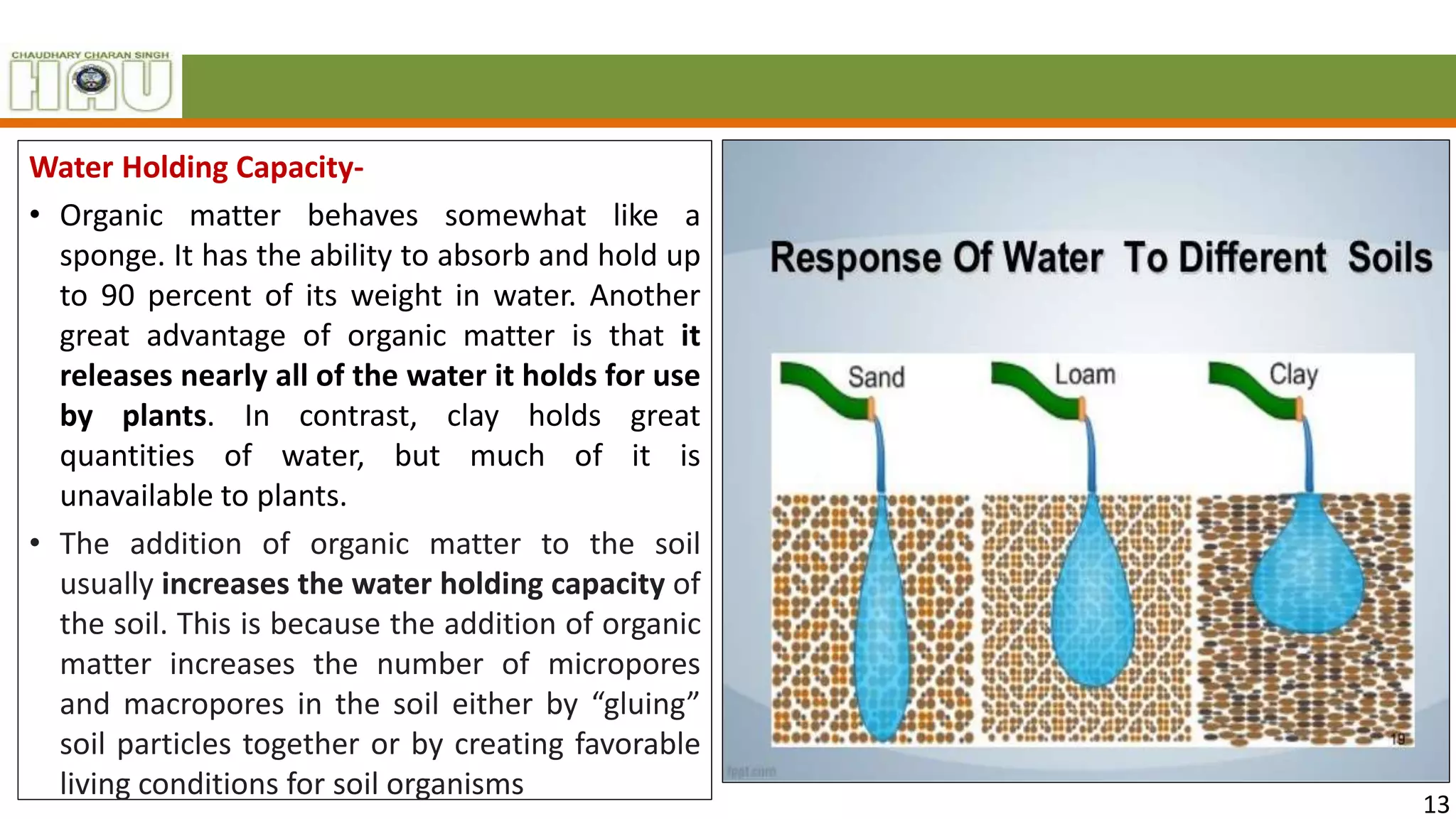 Role of Soil Organic Matter in soil.pptx