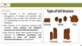 Role of Soil Organic Matter in soil.pptx