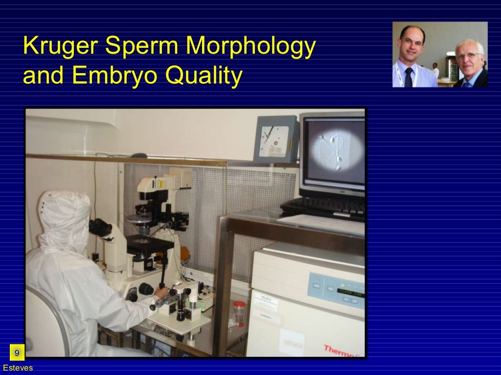 Role of sperm index in embryo quality what to do - 17th iranian ...