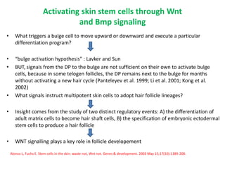 Role of stem cell in hair loss | PPT