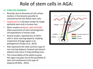 Role of stem cell in hair loss | PPT