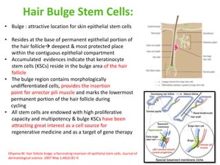 Role of stem cell in hair loss | PPTX