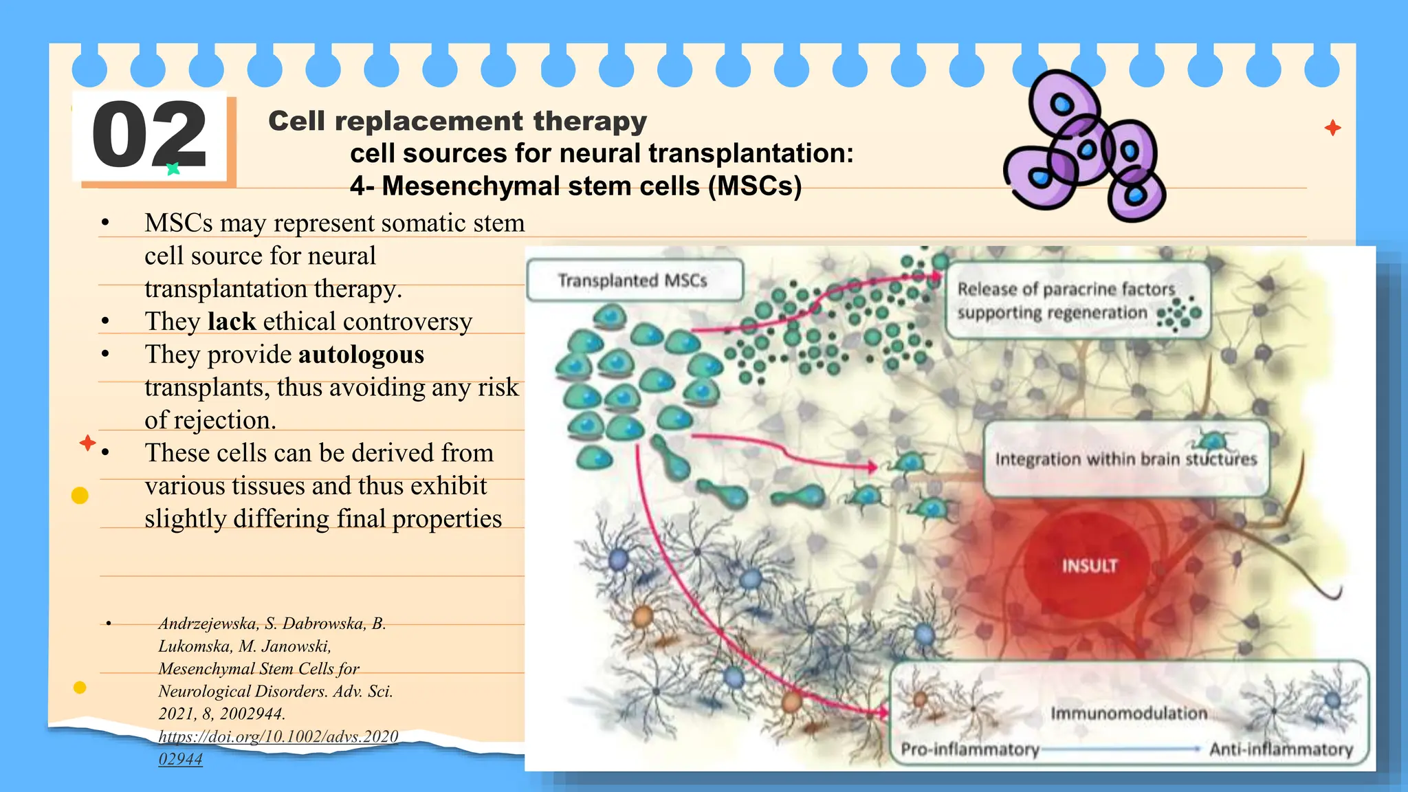 role of stem cells in CNS repair - Maha Hammady.pptx