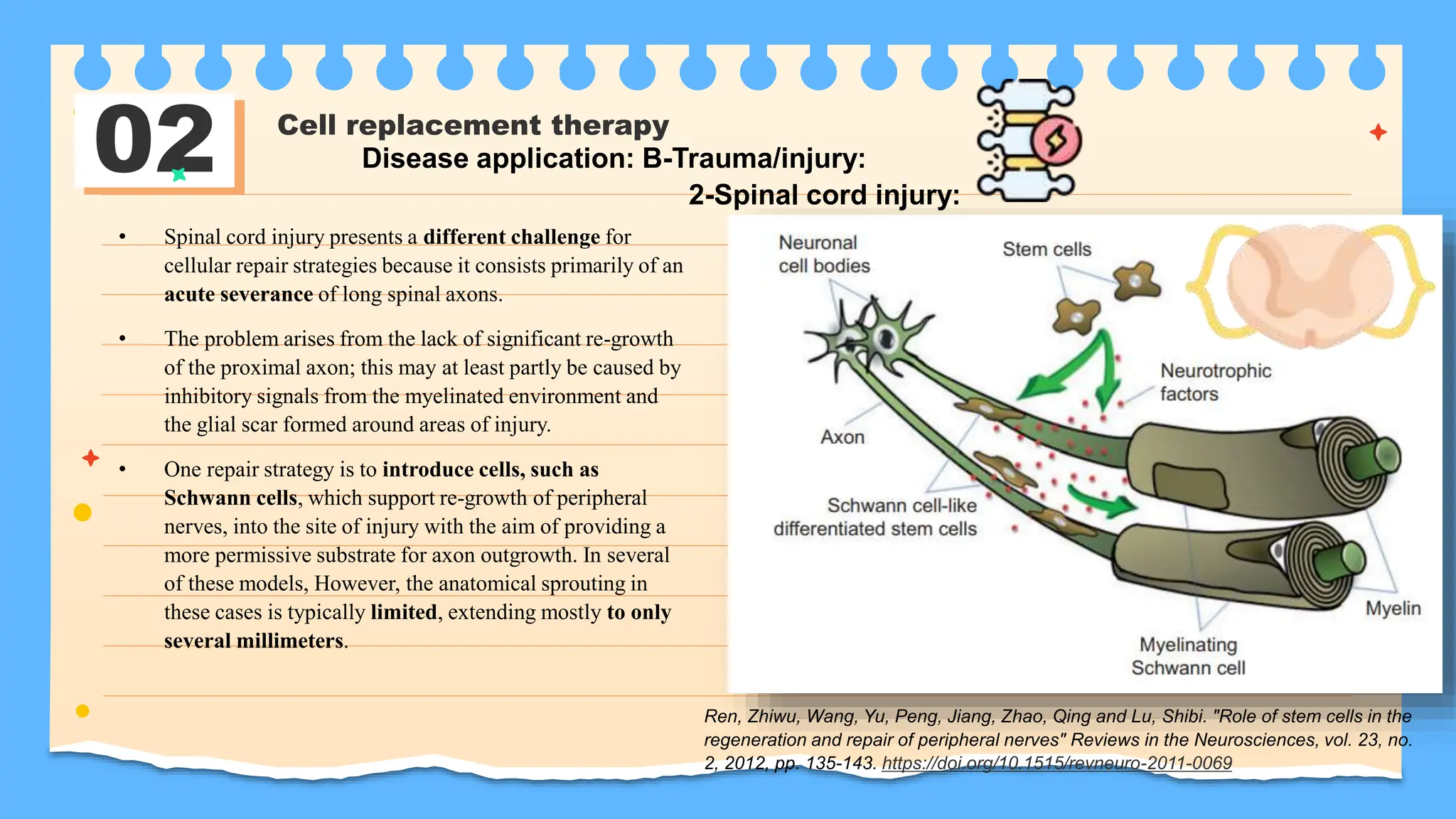 role of stem cells in CNS repair - Maha Hammady.pptx