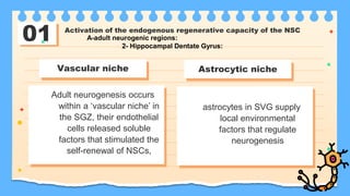role of stem cells in CNS repair - Maha Hammady.pptx