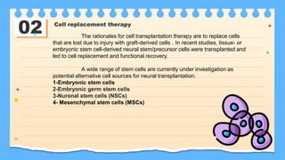 role of stem cells in CNS repair - Maha Hammady.pptx