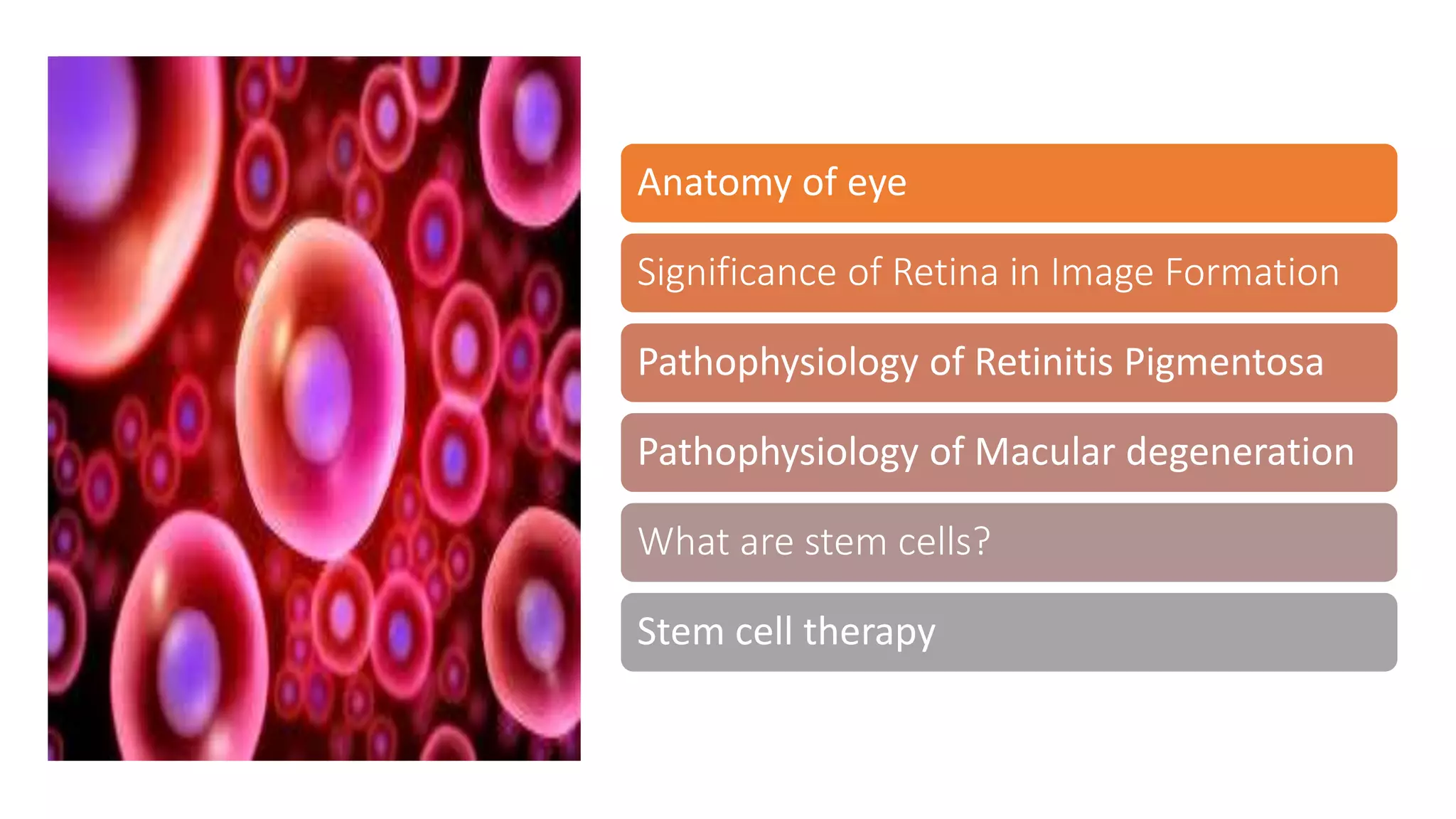 Role of stem cells in visual restoration | PPT