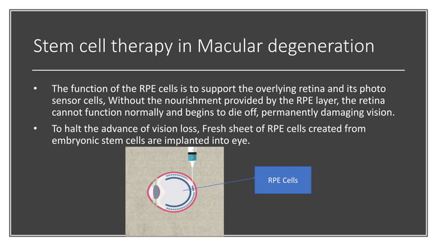 Role of stem cells in visual restoration | PPT