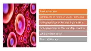 Role of stem cells in visual restoration | PPT