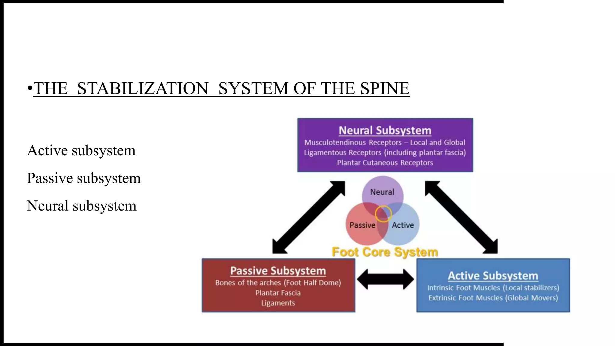 Role of swiss ball in lumbar stabilization | PPTX
