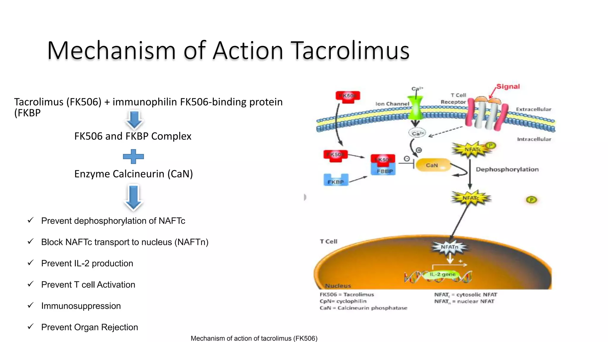 Role of Tacrolimus in Transplantation.pptx