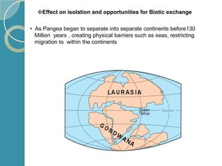 Role of the disturbance in shaping bio geography | PPTX | Geography ...