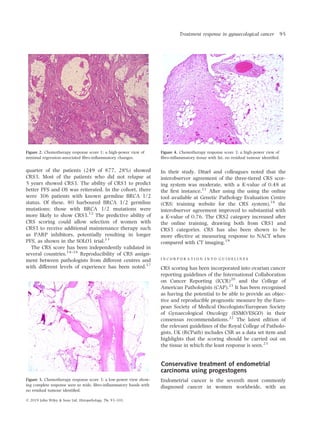 Role of the pathologist in assessing response to treatment of ovarian ...