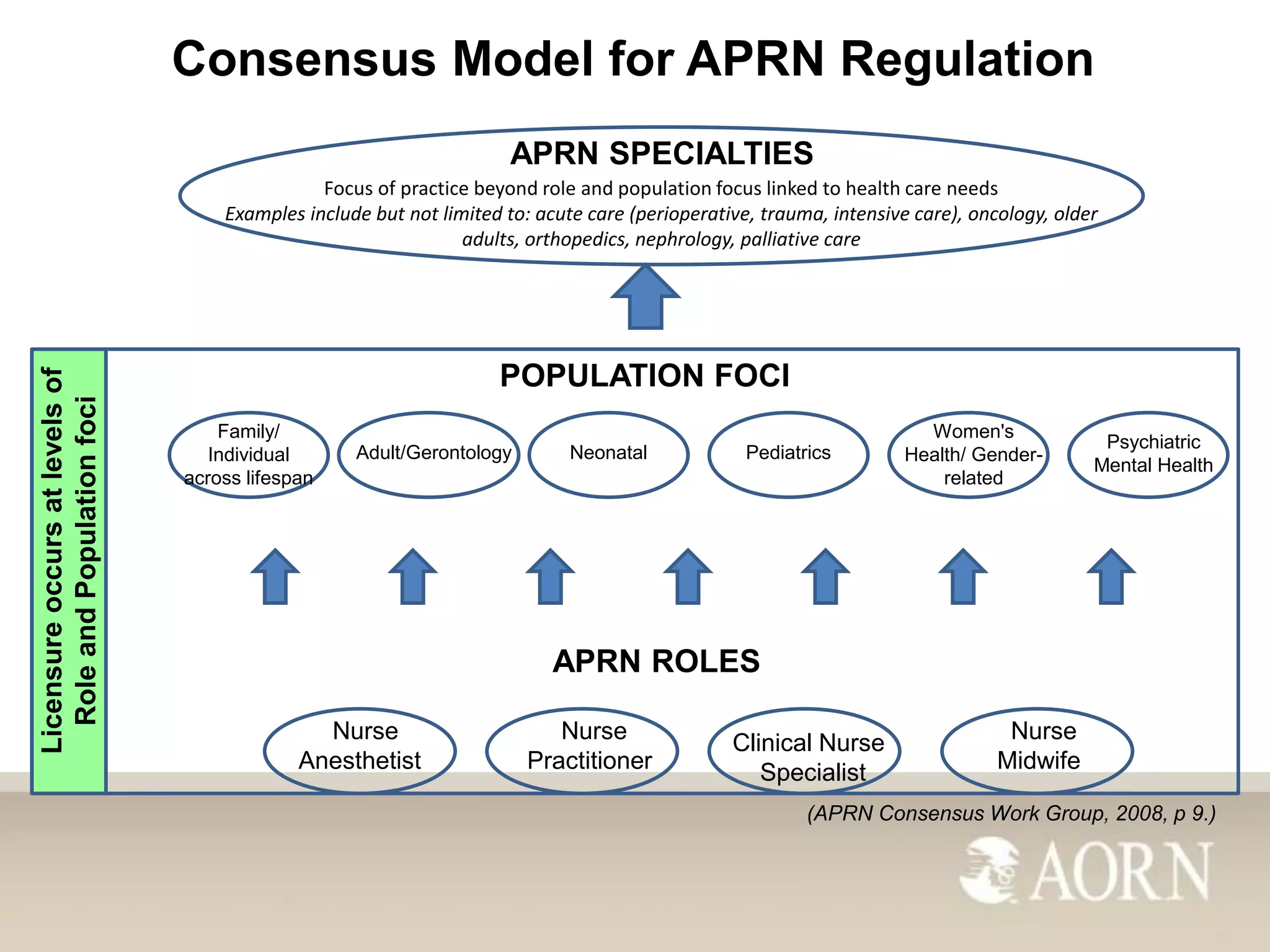 Role of the Periop Clinical Nurse Specialist | PDF