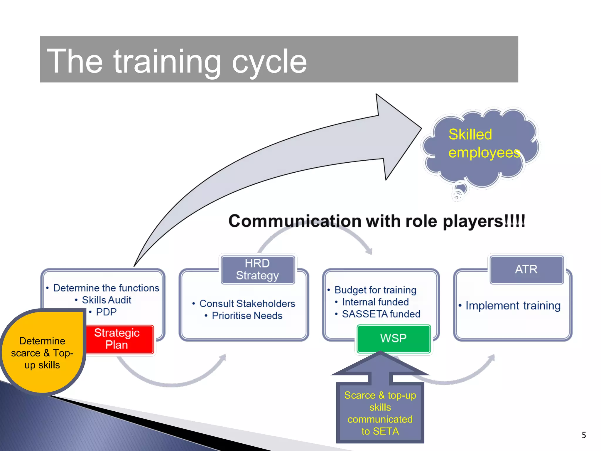 Role of the seta and sdf | PPT