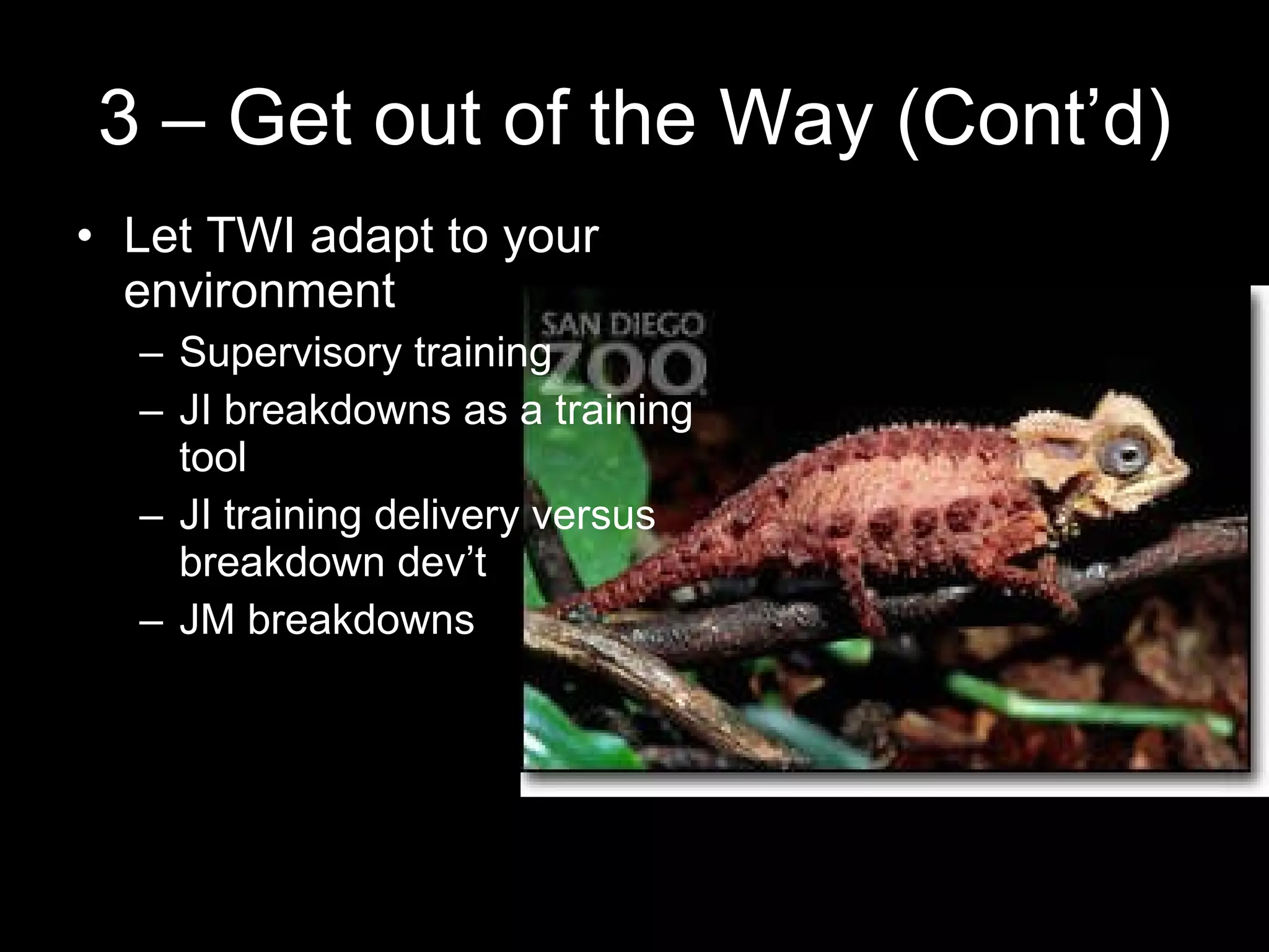 Role Of The Twi Champion | PPT | Business Administration | Business