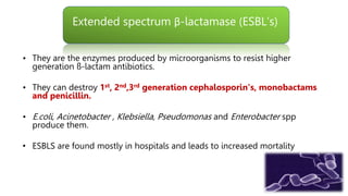 Role Of Third And Fourth Generation Cephalosporin in ICU.pptx