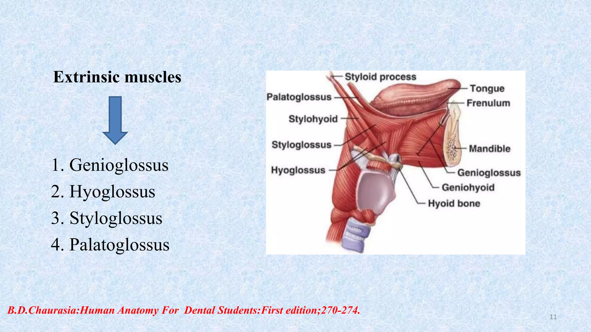 ROLE OF TONGUE IN DEVELOPMENT OF MALOCCLUSION | PPTX