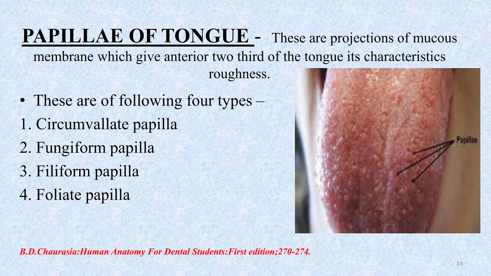 ROLE OF TONGUE IN DEVELOPMENT OF MALOCCLUSION | PPTX