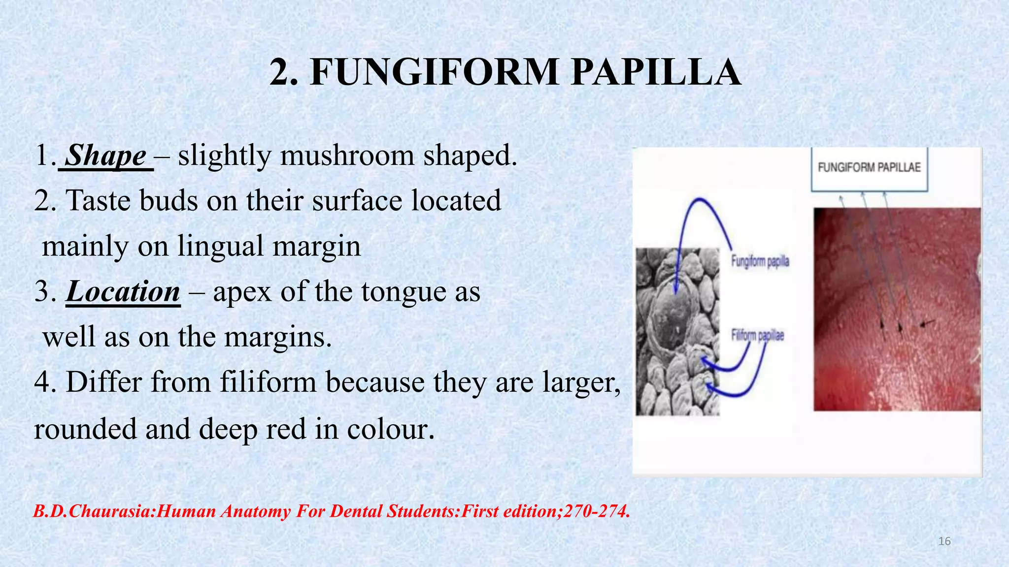 ROLE OF TONGUE IN DEVELOPMENT OF MALOCCLUSION | PPTX