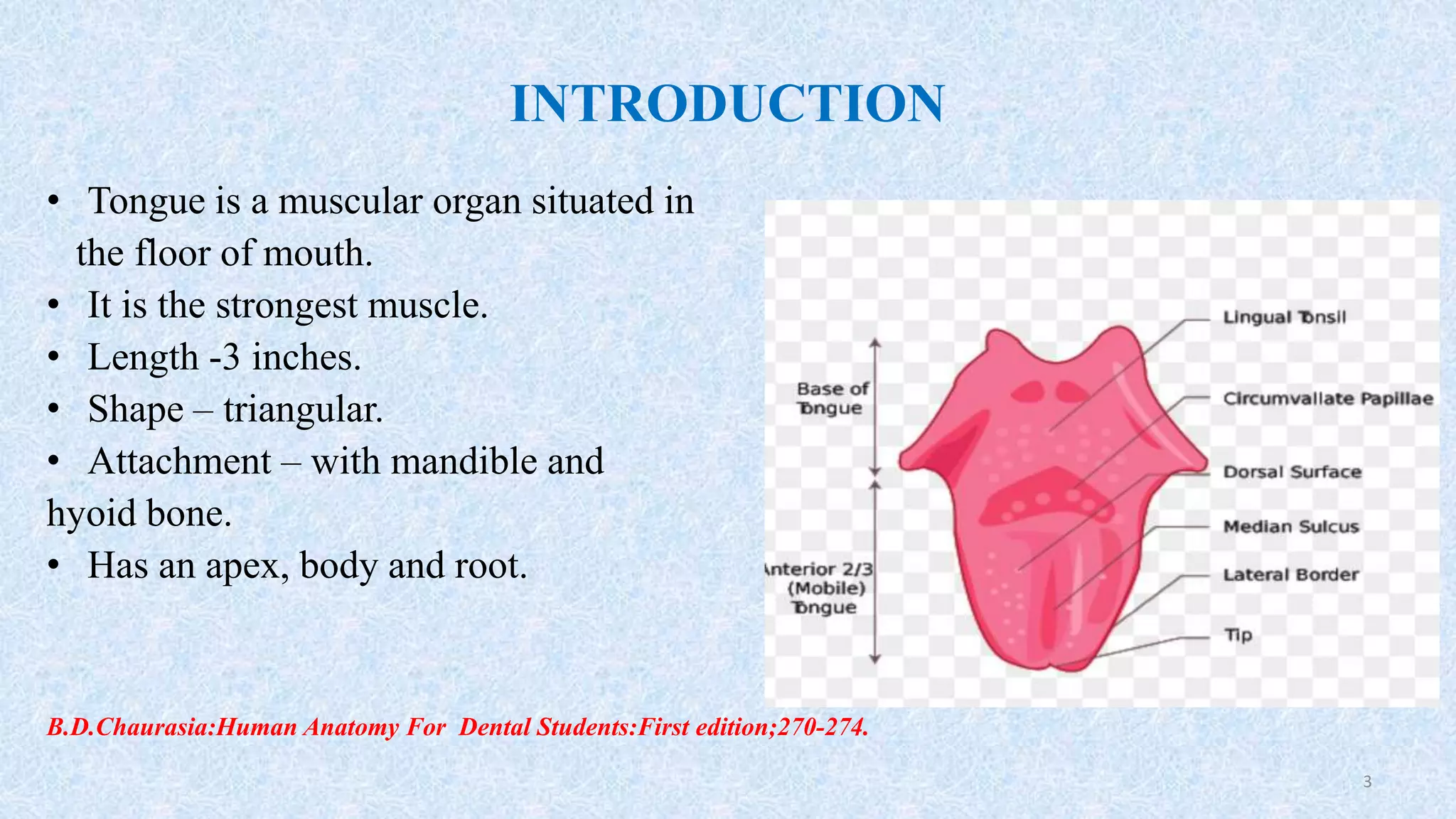 ROLE OF TONGUE IN DEVELOPMENT OF MALOCCLUSION | PPTX