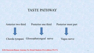 ROLE OF TONGUE IN DEVELOPMENT OF MALOCCLUSION | PPTX
