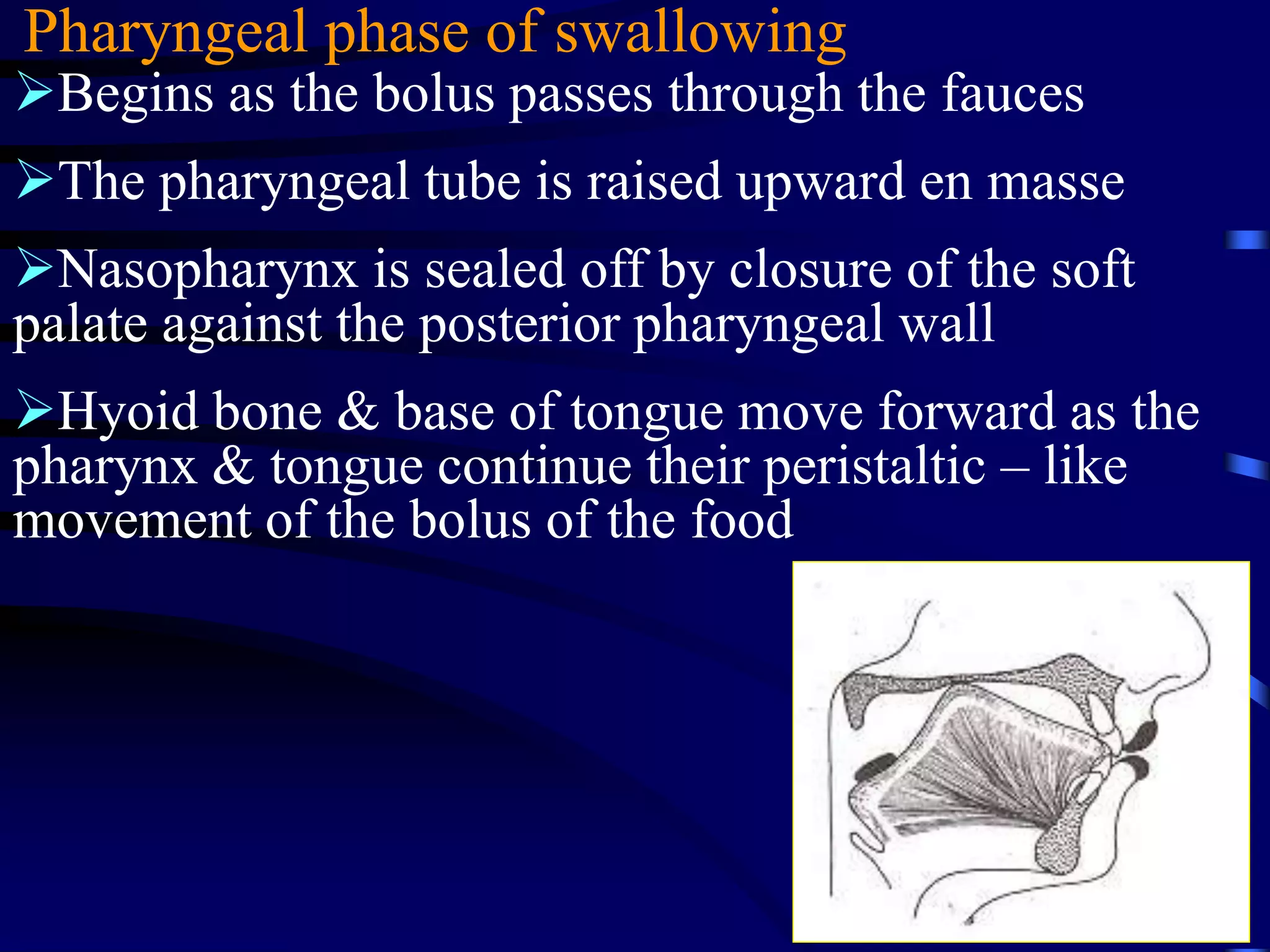Role of tongue in maintaining occlision.ppt